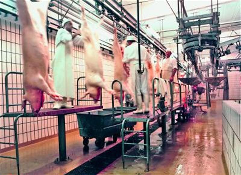 Flooring in the meat industry - Die Fleischerei