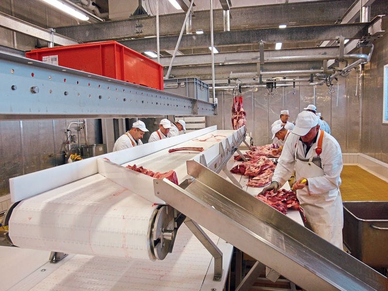 Varied slaughterhouse setups - Die Fleischerei