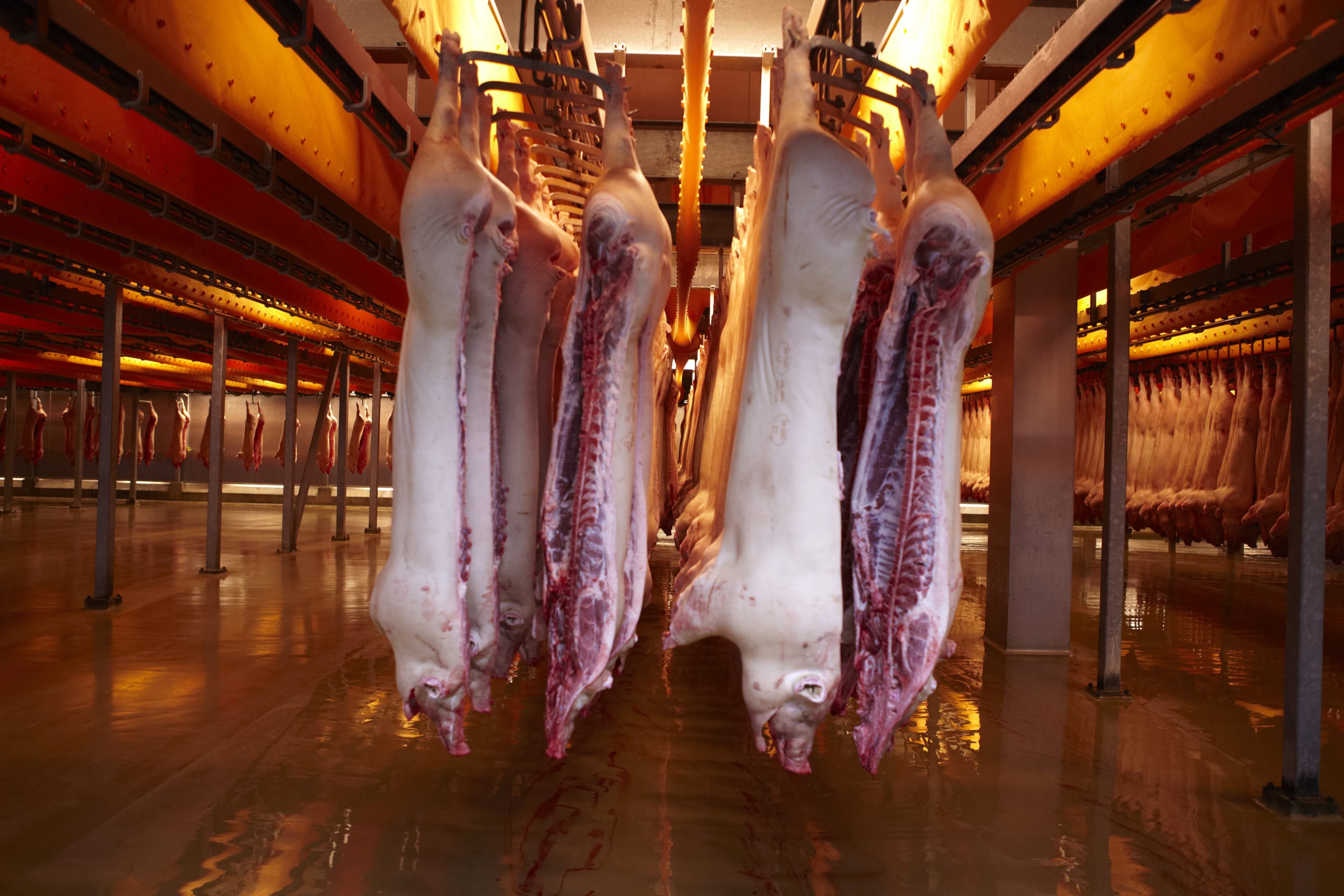 Gemeinsame Jahrestagung von VDF und BVWS - Die Fleischerei